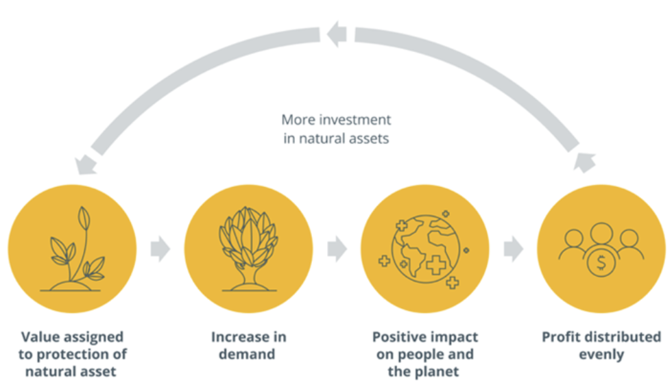 Understanding ReFi | CryptoAtlas